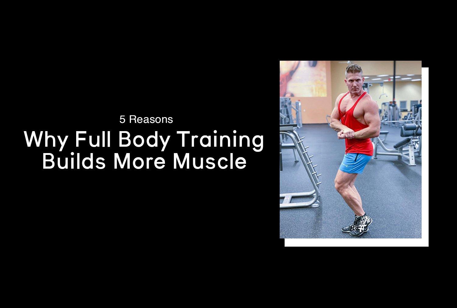 5 Reasons Why Full Body Training Will Help You Build More Muscle – Jed ...