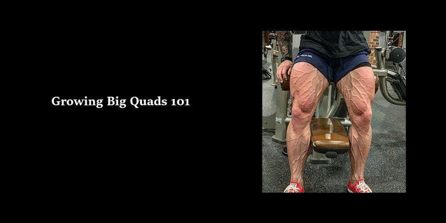 Growing Big Quads 101 – Jed North